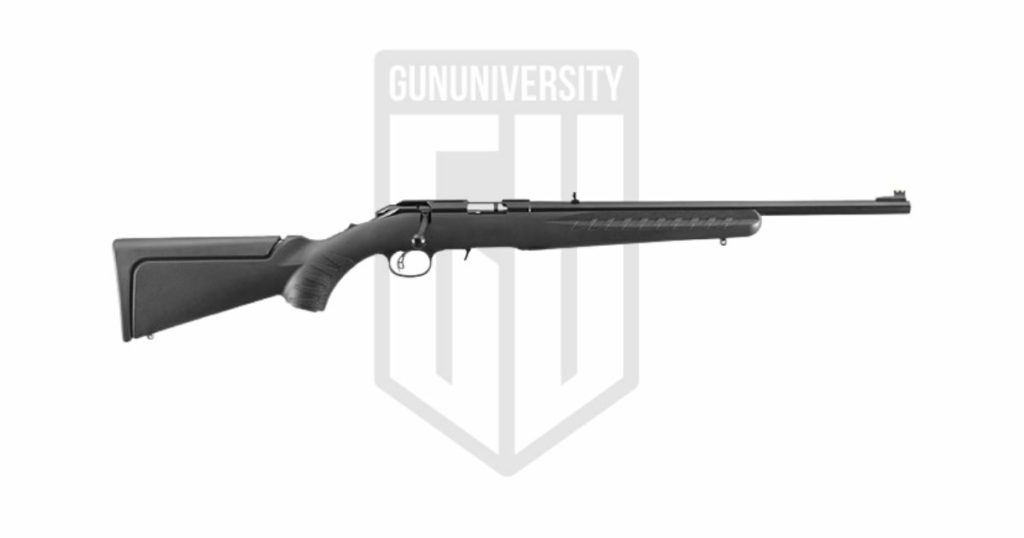 7 Best 22LR Rifles for Plinkers, Hunters, and Survivalists in 2024