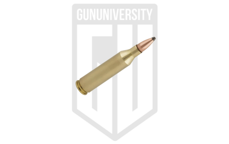 243 vs 308: Which Hunting Round is Best for You? : Gun University