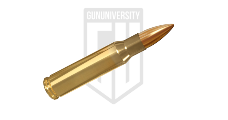 300 Blackout vs 308 Winchester: Cartridge Showdown