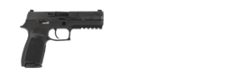 Best Sig P320 Red Dots of 2026: The Definitive Guide