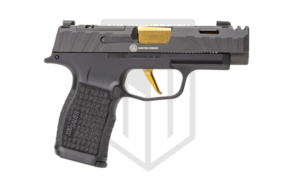 Sig P365 vs P365X: 2025 Hands On Comparison