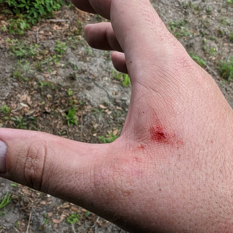 Beretta Tomcat Review 2026: Hands on Testing