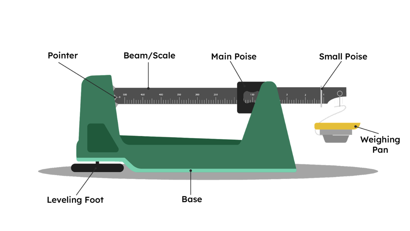 Best Beam Reloading Scales in 2026 (+Buyers Guide)