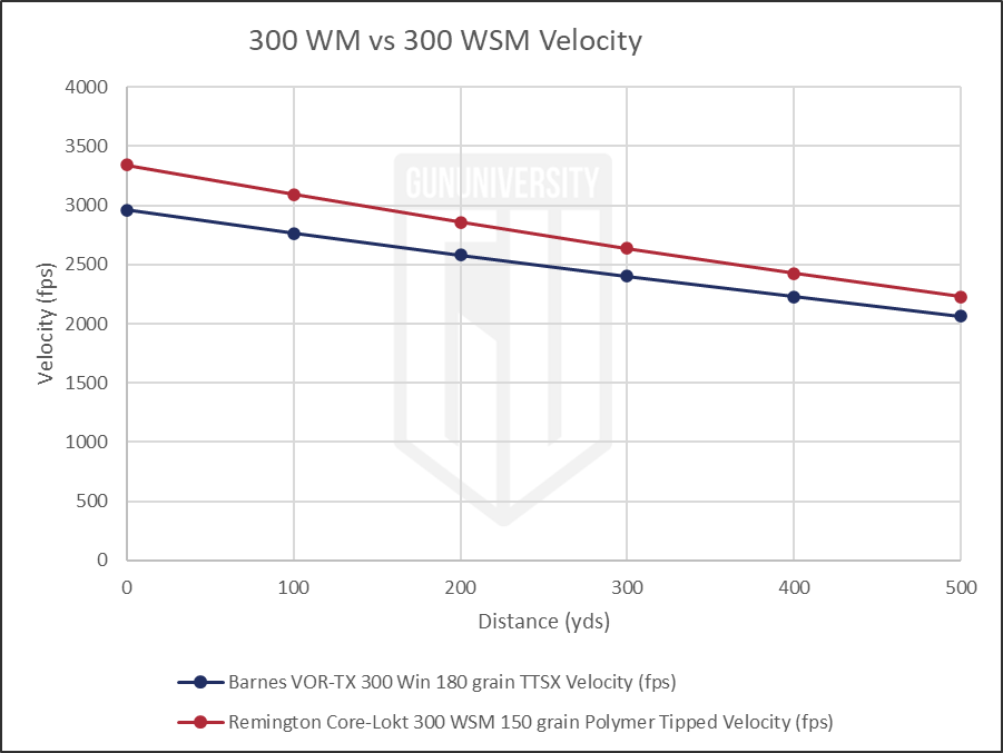 300 Win Mag vs 300 WSM: 2026 Ammo Comparison