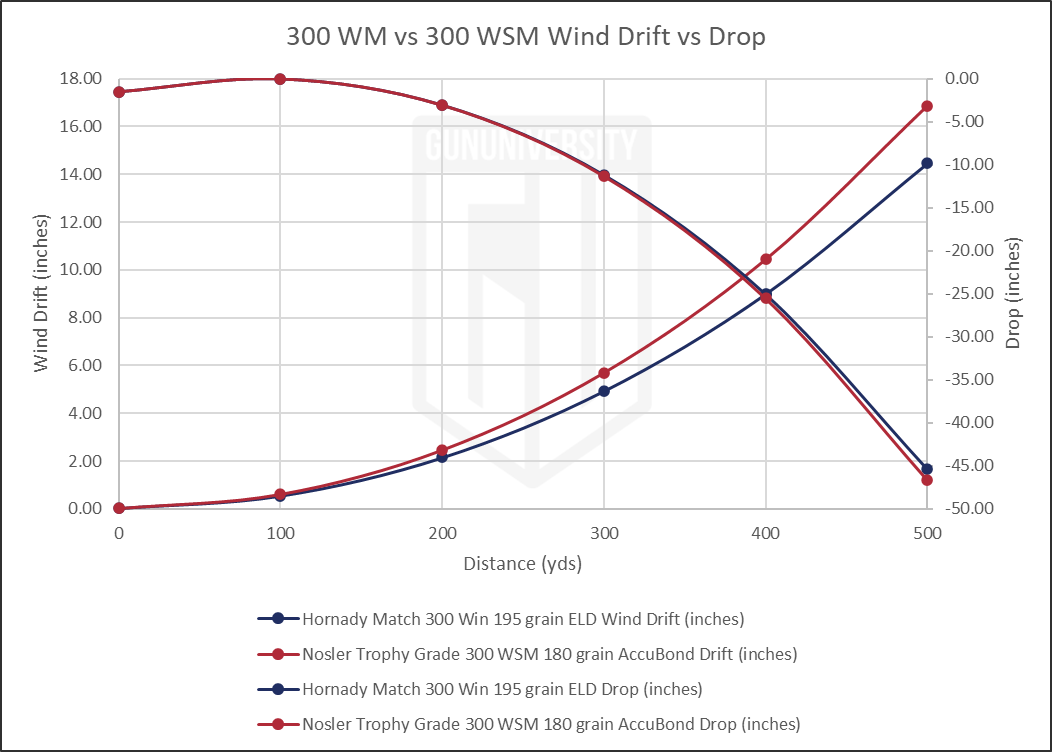 300 Win Mag vs 300 WSM: 2025 Ammo Comparison