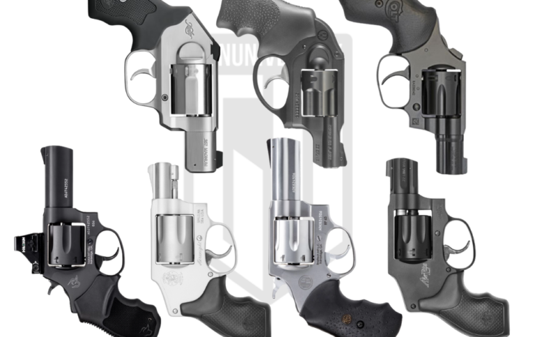 9 Best CCW Gun In 2024: [Field-Tested]