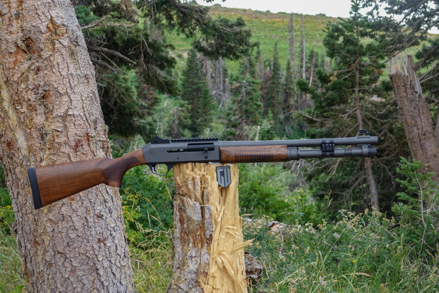 Panzer Arms M4 Review 2026